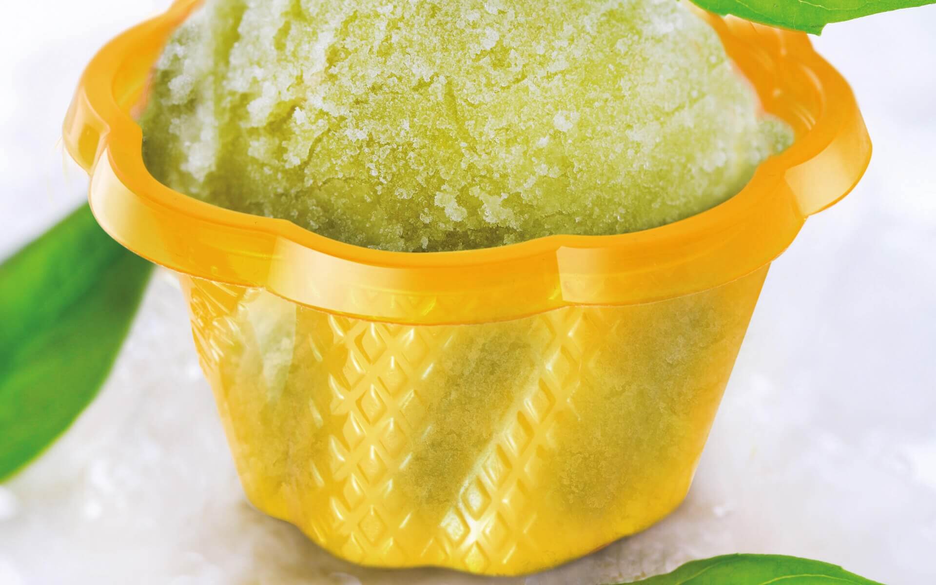 Coppette Bio – Alcas spa